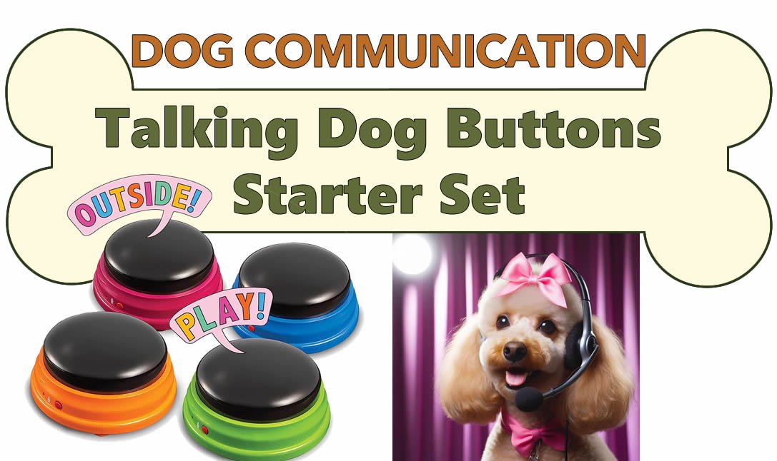 Woof, There It Is: Making Sense of Dog Buttons Communication ...